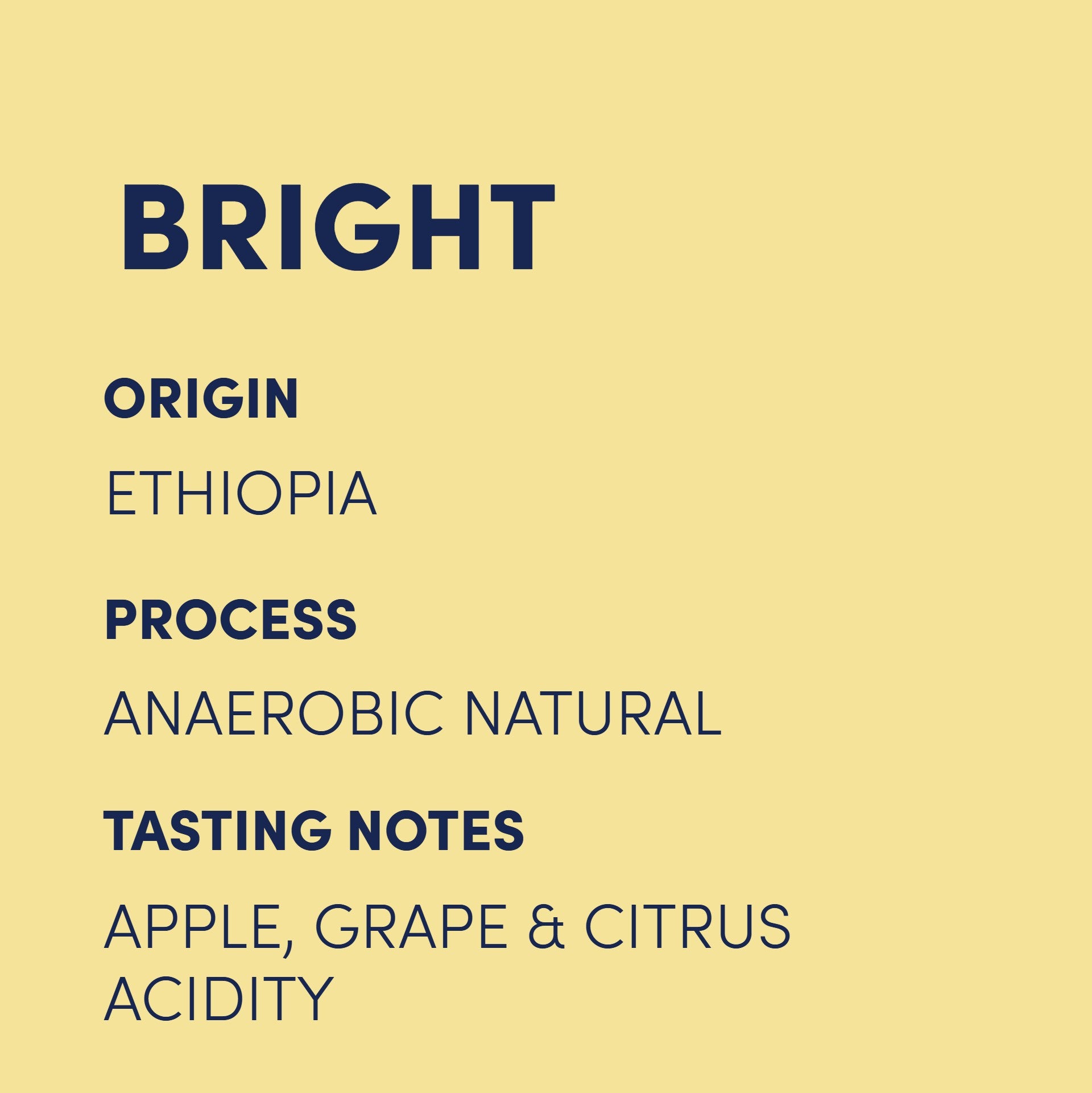 Eclipse Coffee Roasters Canada | Buy Freshly Roasted Coffee